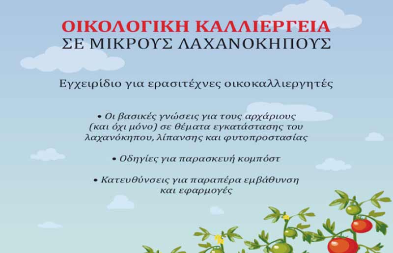 ΒΙΝΤΕΟ: Οικολογική καλλιέργεια σε μικρούς λαχανόκηπους - ΝΕΑ Τηλεόραση ...