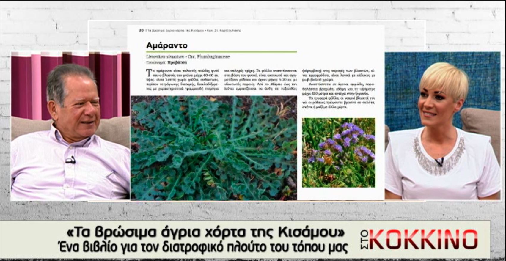 «Τα βρώσιμα άγρια χόρτα της Κισάμου» Ένα βιβλίο για τον διατροφικό ...
