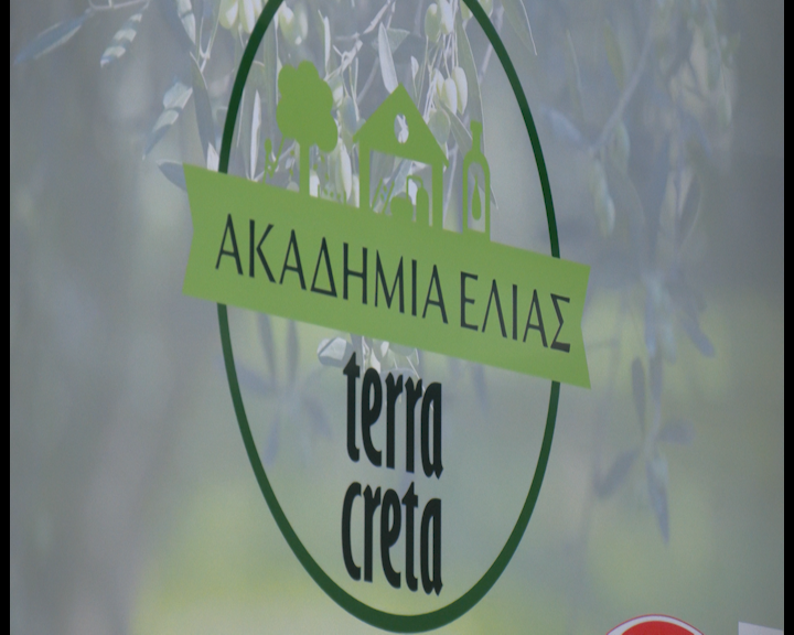Βίντεο: Ακαδημία Ελιάς από την Terra Creta - ΝΕΑ Τηλεόραση Κρήτης
